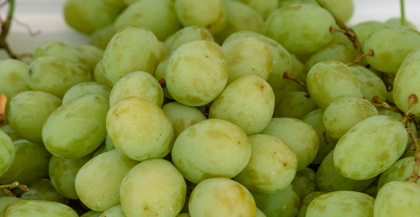 La importancia de las cajas de uvas de EPS en la producción del vino ...